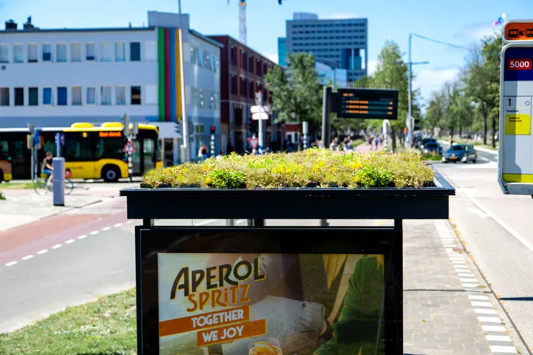 A City in Germany Has Created Bee-Friendly Bus Stops